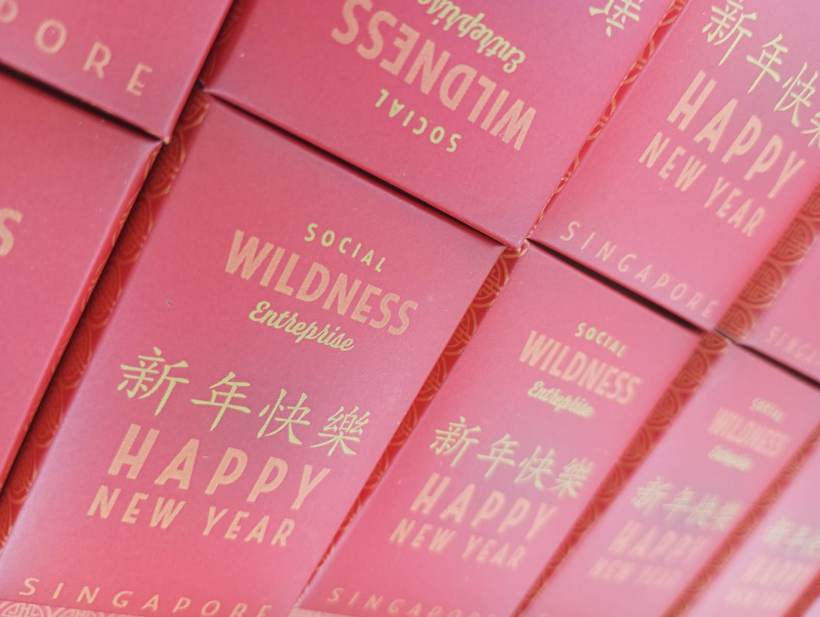 Wildness Organic Chocolate