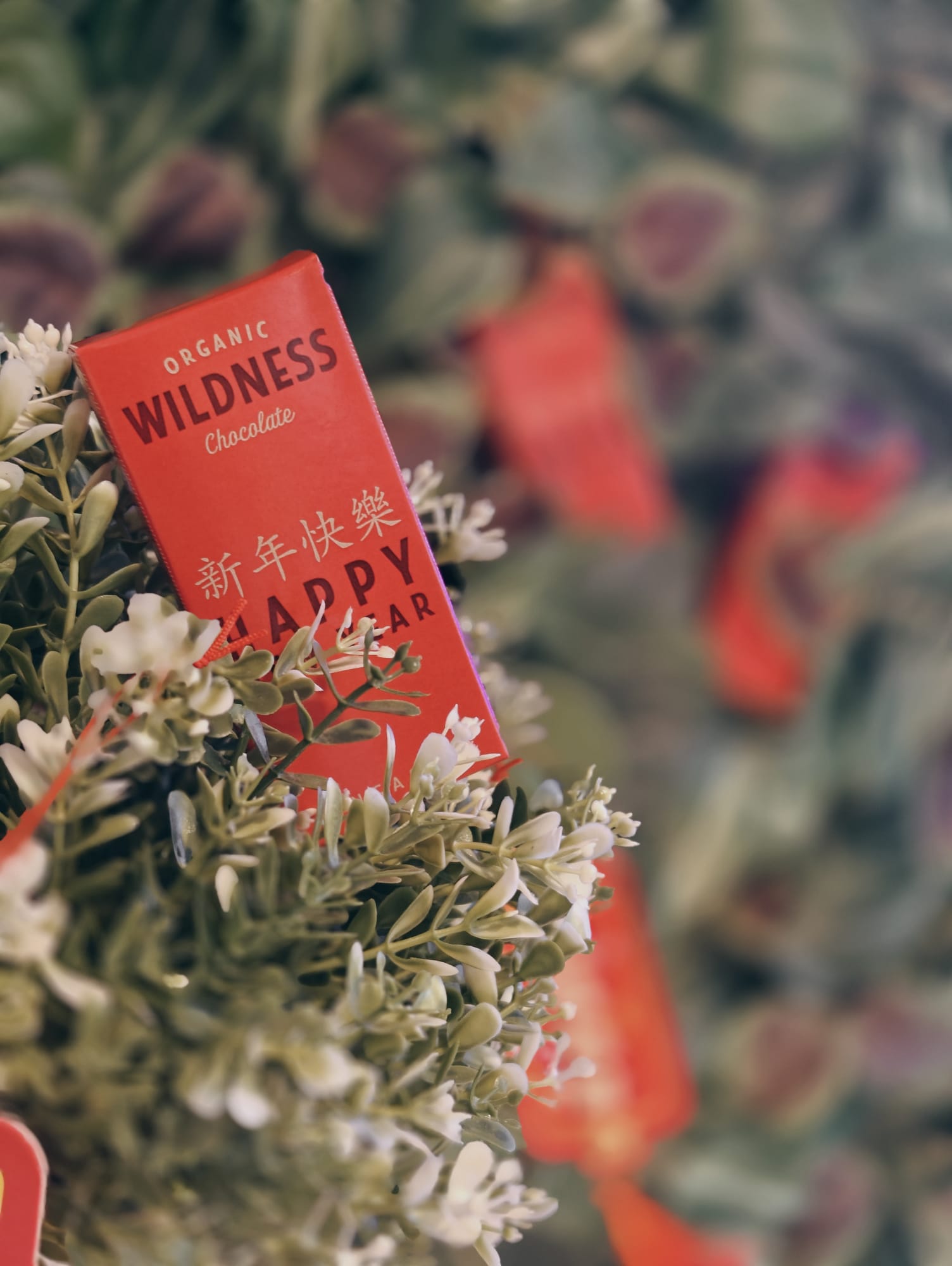 Pure Dark Lunar New Year – Wildness Organic